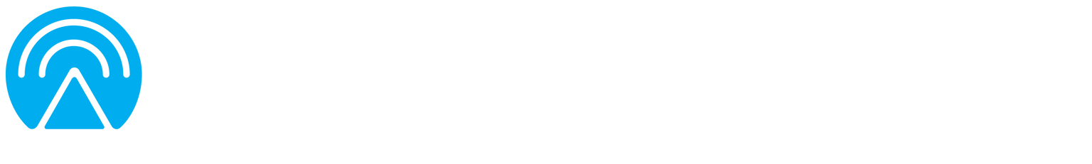 Amplify Insights | Insights